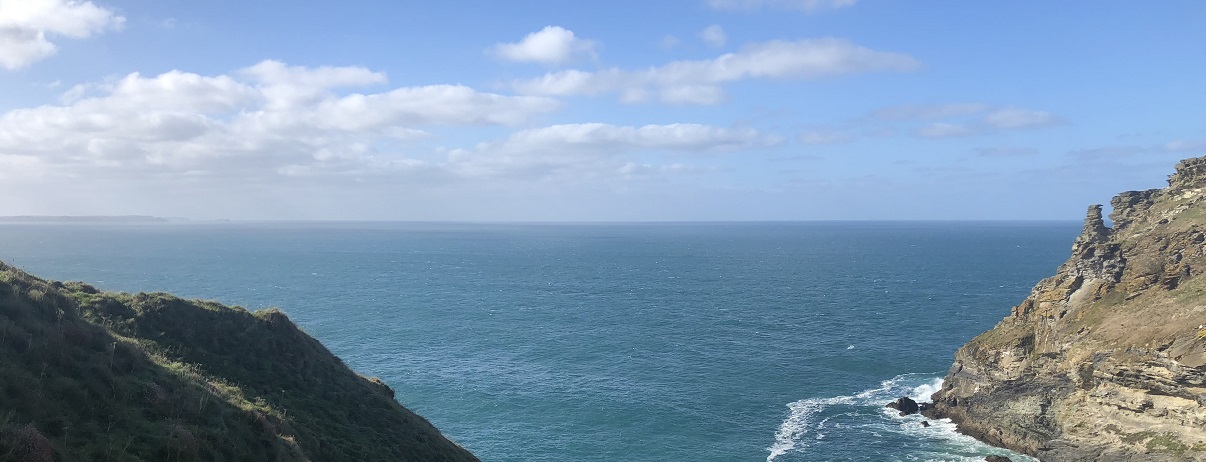 Weird Fish – netraam